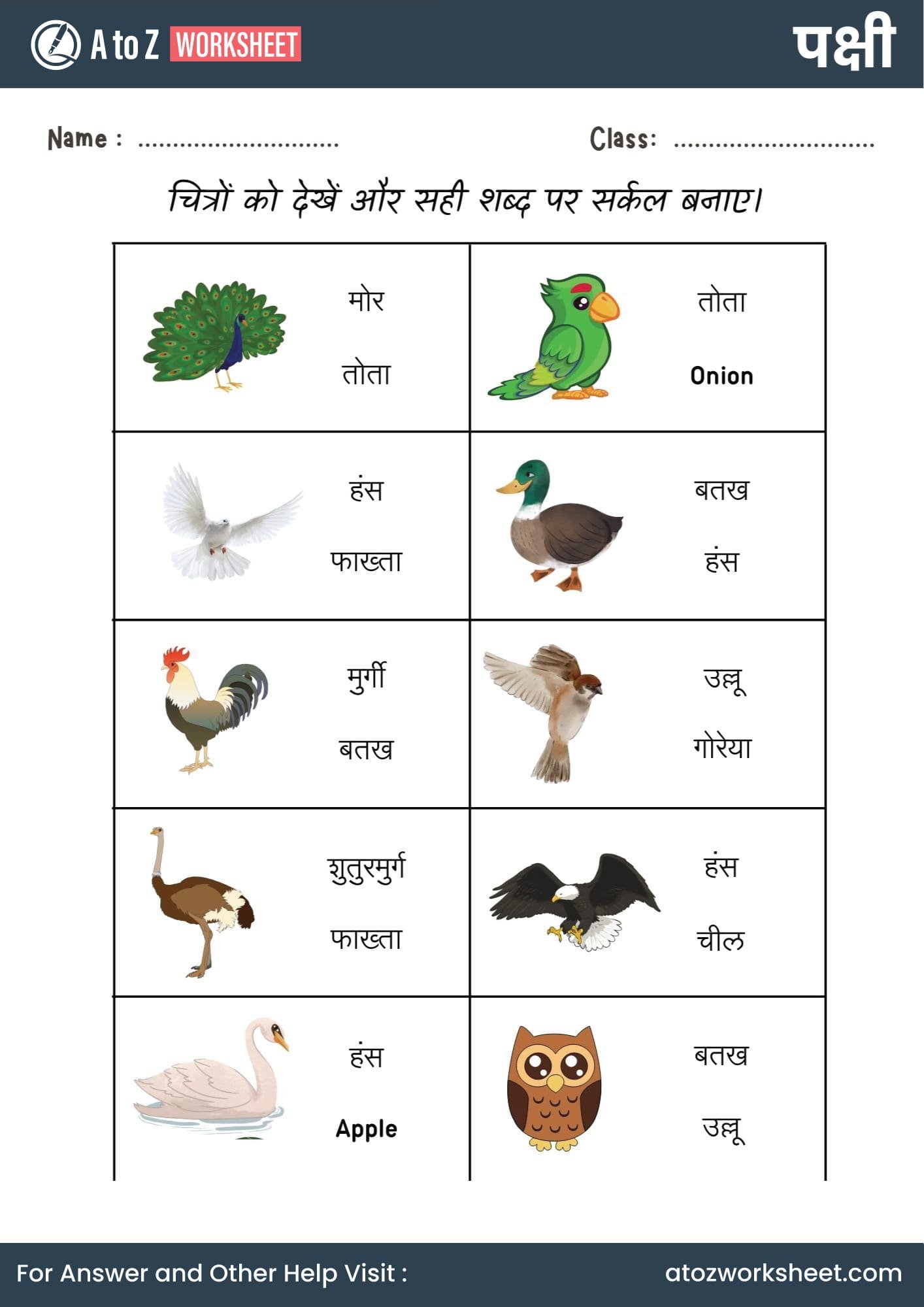 Birds Name In Hindi And Worksheets Birds Name In Hindi And Worksheets